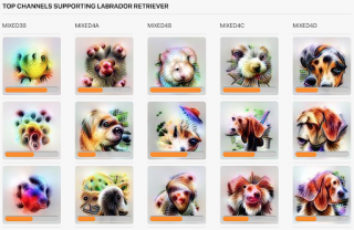 6 – Interpretability – Machine Learning Blog | ML@CMU | Carnegie Mellon ...