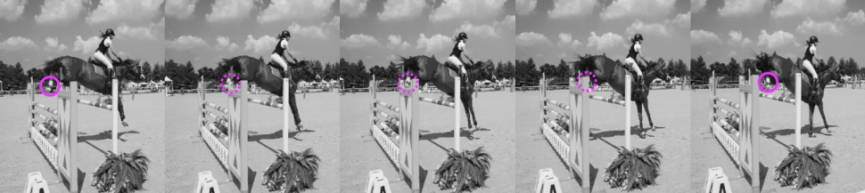 Tracking Any Pixel in a Video – Machine Learning Blog | ML@CMU ...